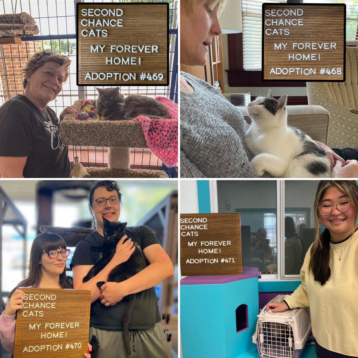 10 Heartwarming Reasons for Choosing Adoption at Second Chance – Second ...