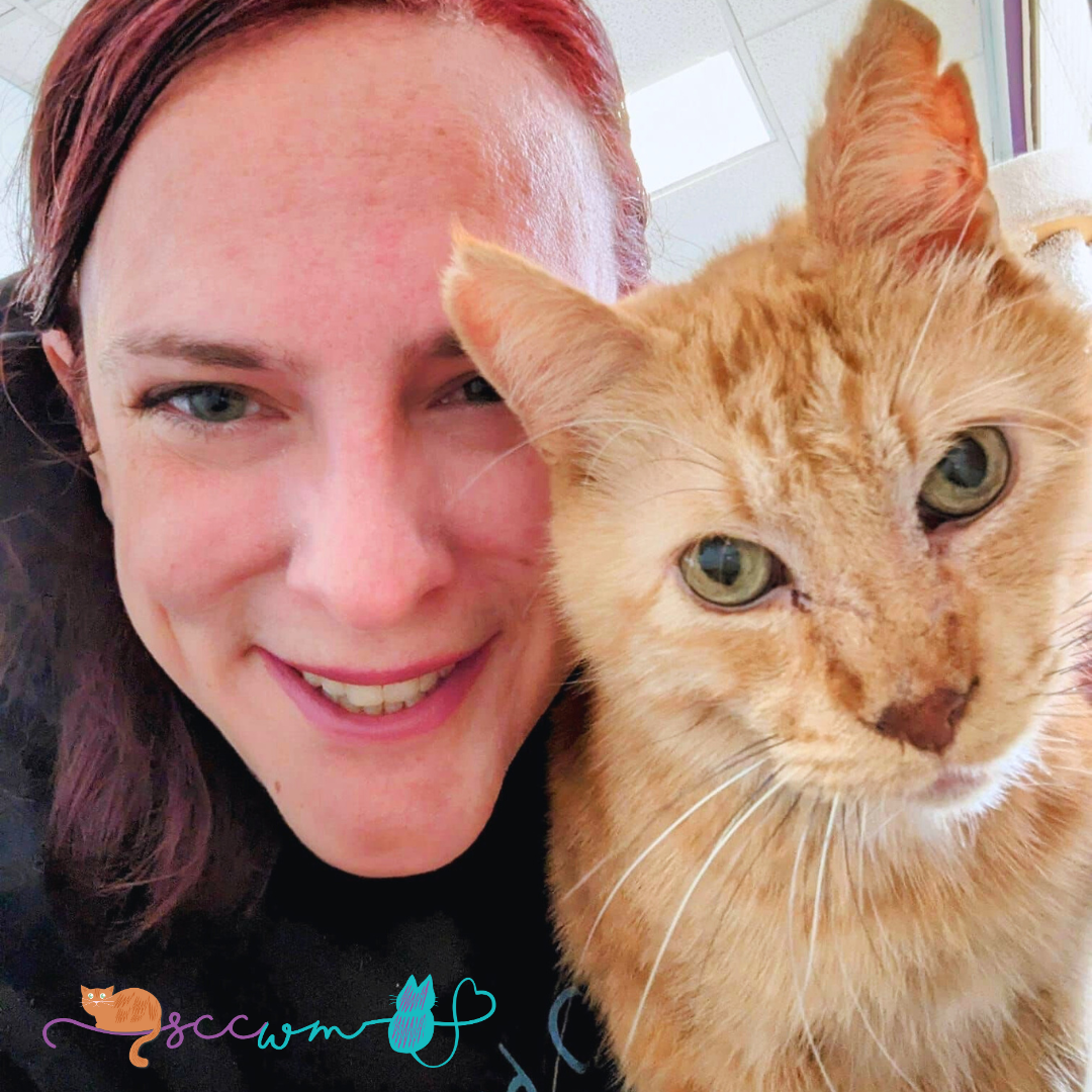 Honoring Hudson, Our Beloved Cat Mascot – Second Chance Cats of WM