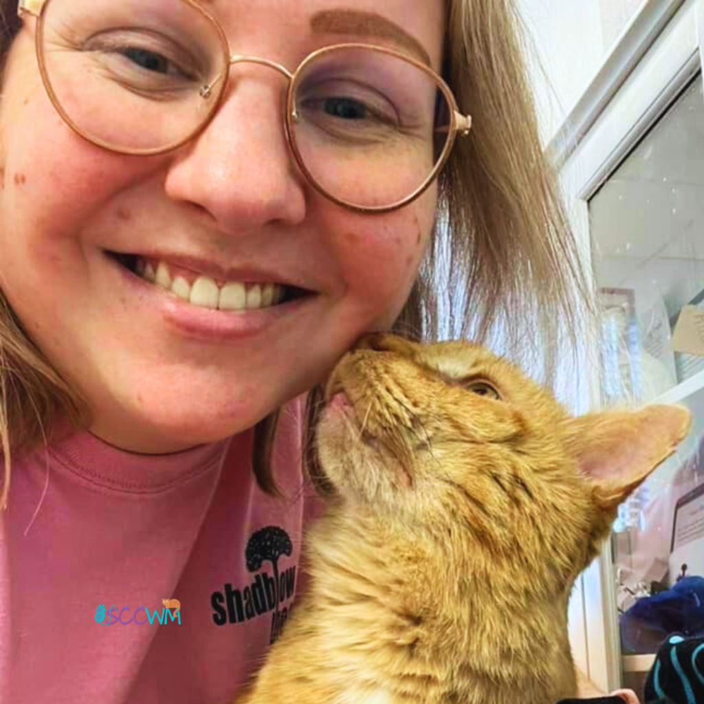 Honoring Hudson, Our Beloved Cat Mascot – Second Chance Cats of WM